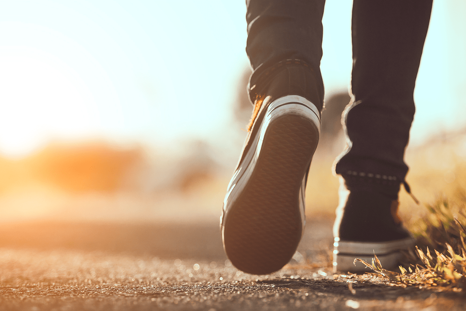 One Foot in Front of the Other: Food Industry Recovery and Consumer ...