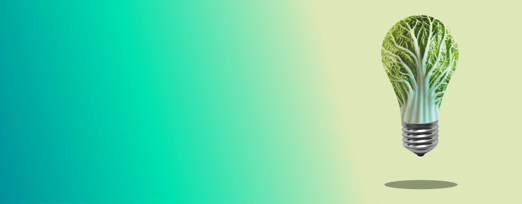 About Datassential - Empowering food & beverage operators ...