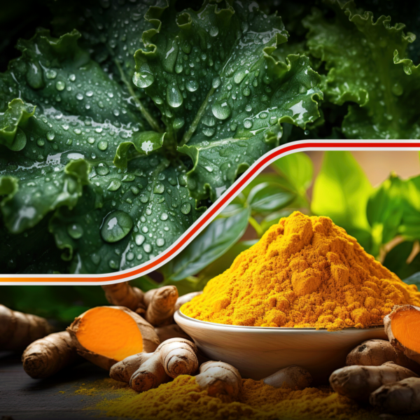 Datassential - Food & Beverage Insights | Restaurant Data & Analytics