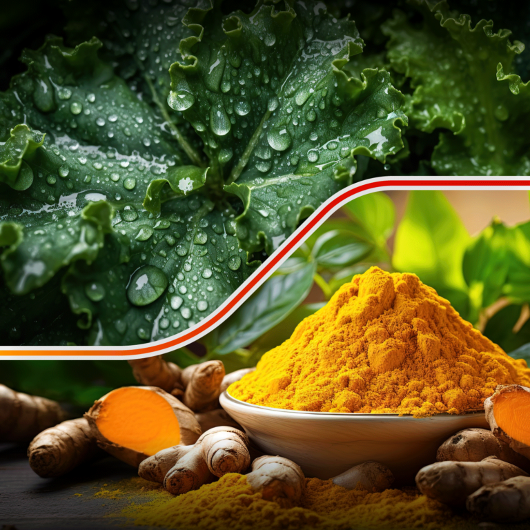 Datassential - Food & Beverage Insights | Restaurant Data & Analytics