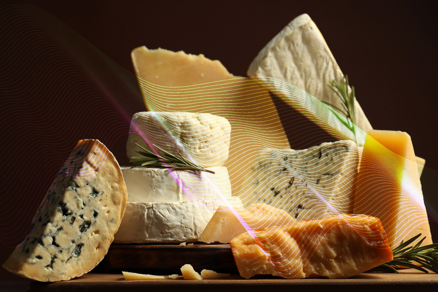 Europe Cheese Market Insights & Consumer Trends